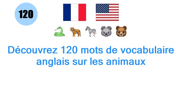 Découvrez 120 mots de vocabulaire anglais sur les animaux